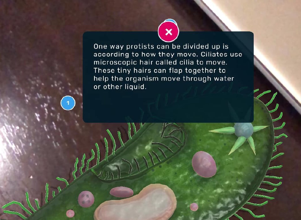 Assemblr EDU | Fun & Interactive Learning in 3D & AR